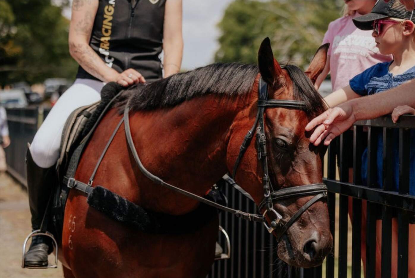 Australian Turf Club – National Thoroughbred Week